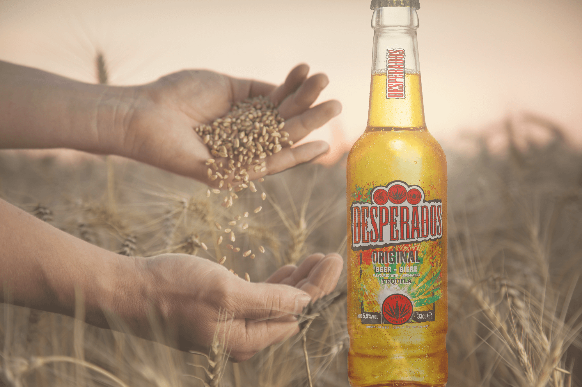 SCC | Desperados